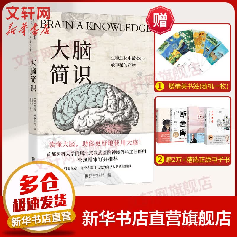 大脑简识 意 马克马格里尼 以风趣通俗的方式 讲解世界脑科学前沿成果 读懂人类大脑的各项机能机制 成人科普书籍 图书