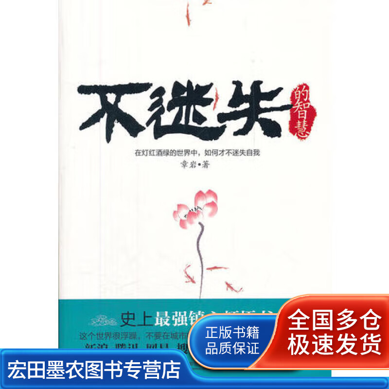 不迷失的智慧【好书】