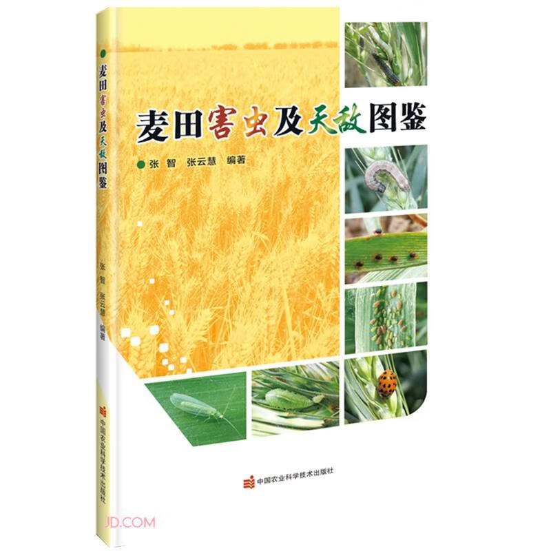 麦田害虫及天敌图鉴