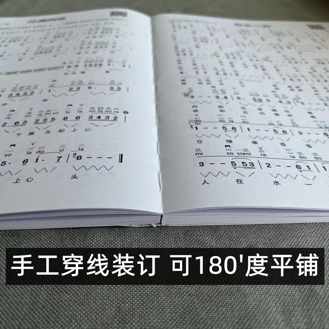 二胡动态曲谱集 标注技法弓法指法带歌词 8开大字体 带伴奏动态谱 锁线装（唱谱动态伴奏示范）