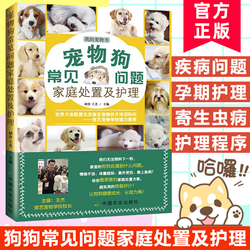 宠物狗常见问题家庭处置及护理 宠物狗养殖书籍 犬养殖 犬家庭护理问题处置 宠物饲养 养殖与护理 宠物狗养殖技术