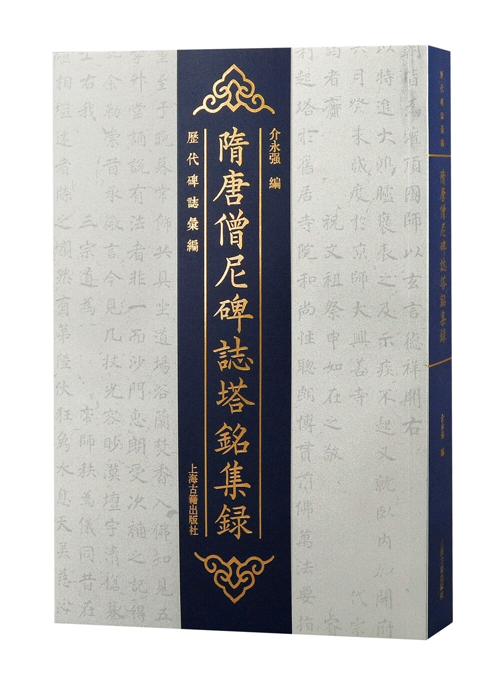 隋唐僧尼碑志塔铭集录/历代碑志汇编