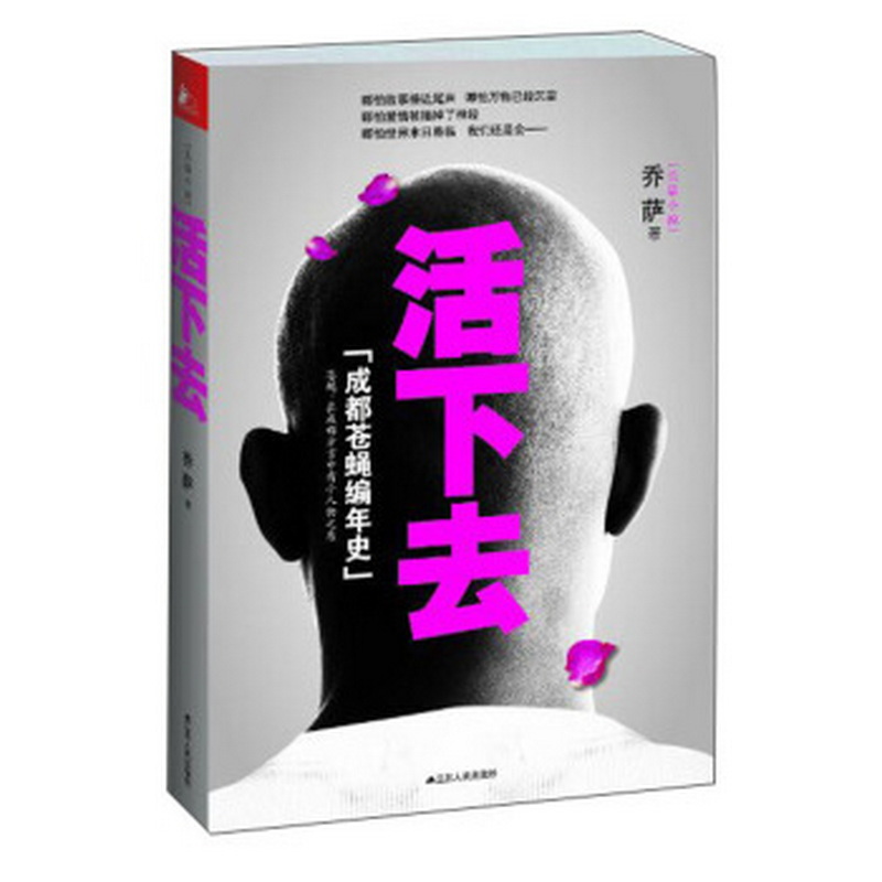 活下去：成都苍蝇编年史