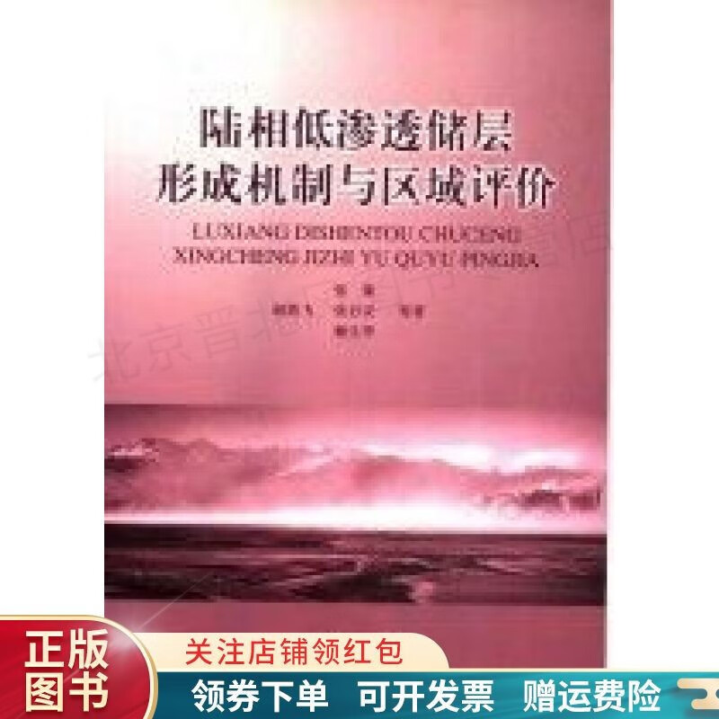 陆相低渗透储层形成机制与区域评价 赵霞飞
