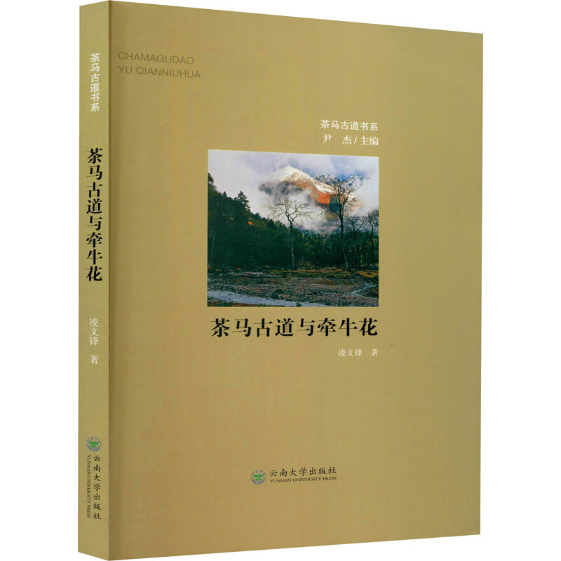 茶马古道与牵牛花