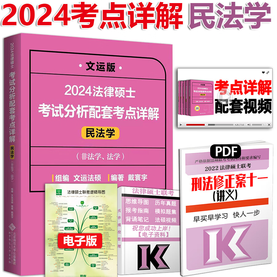 现货速发】2024文运法硕非法学24法学法硕考试分析配套考点详解戴寰宇民法学+王振霞+孙自立刑法学+李彬法理 2024法硕考点民法学
