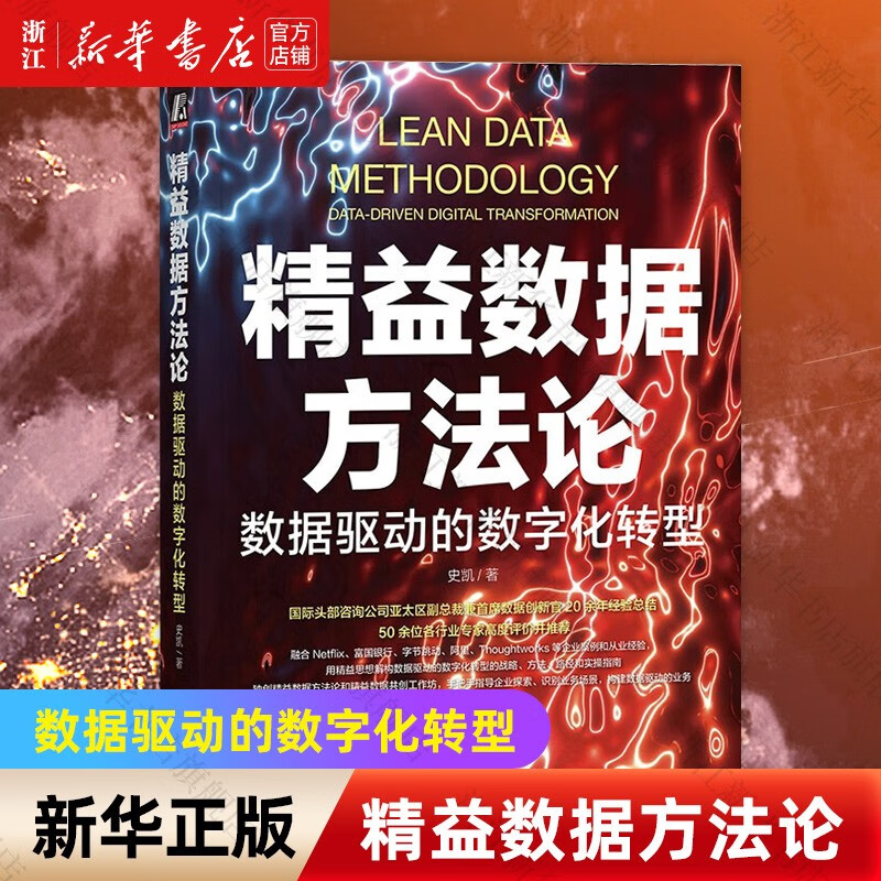 精益数据方法论：数据驱动的数字化转型 史凯著