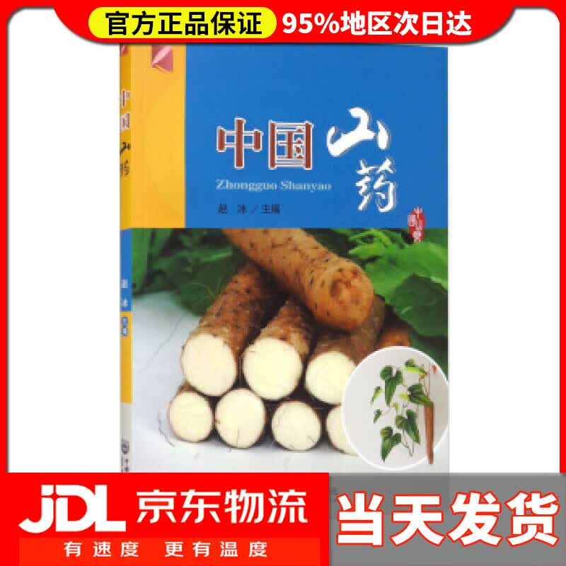中国山药 赵冰 编