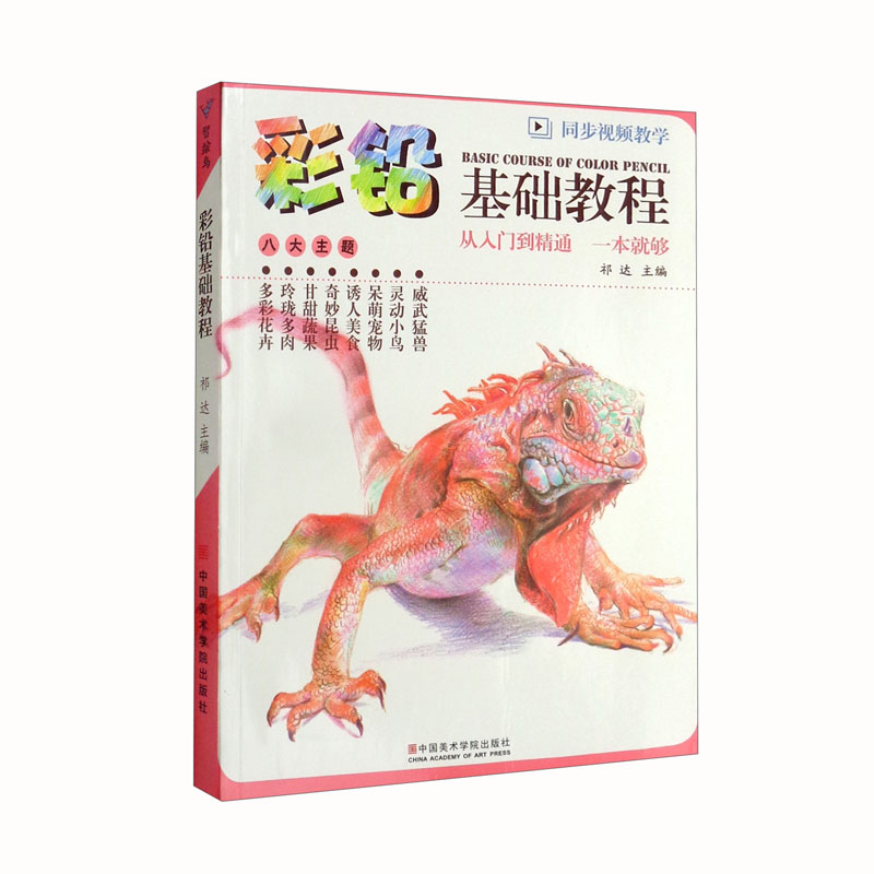 彩铅基础教程