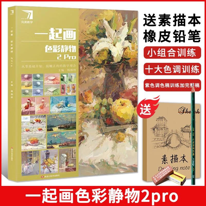 【现货速发】一起画色彩静物2pro 2022完美教学杨慎修水粉静物解析临摹美院派
