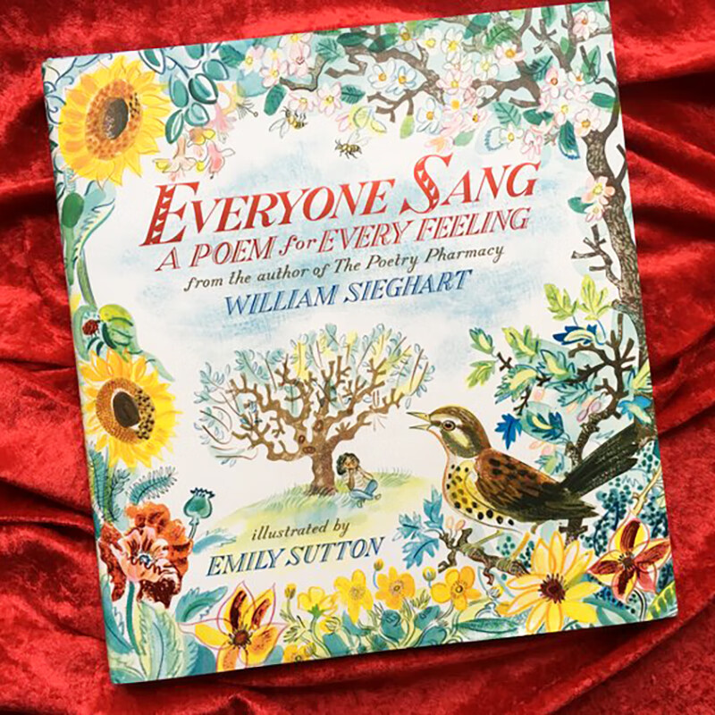 所有人歌唱：谱写每一种情绪的诗歌Everyone Sang: A Poem for Every Feeling插画精美诗集 适合任何年龄层 英文原版