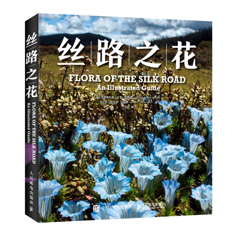 丝路之花（异步图书出品）