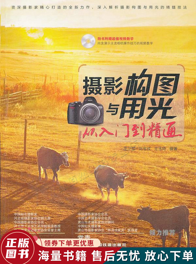摄影构图与用光从入门到精通