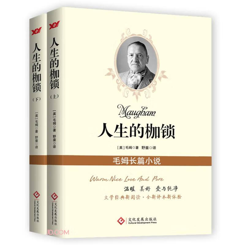 人生的枷锁(上下)