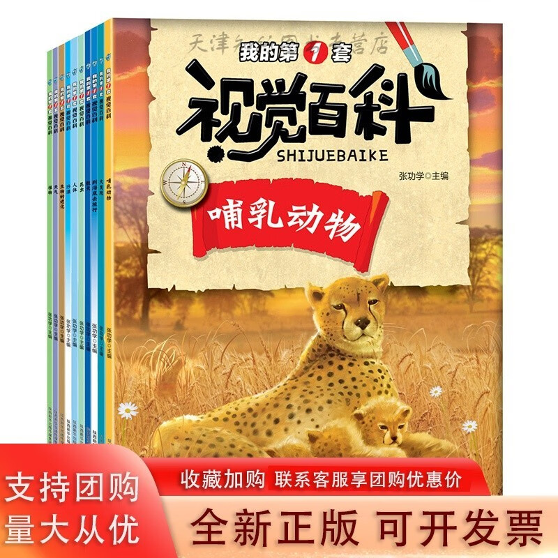 我的套视觉百科：辑（10本） 适合6～12岁孩子的小百科