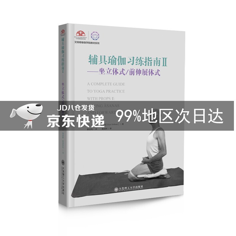辅具瑜伽习练指南 2
