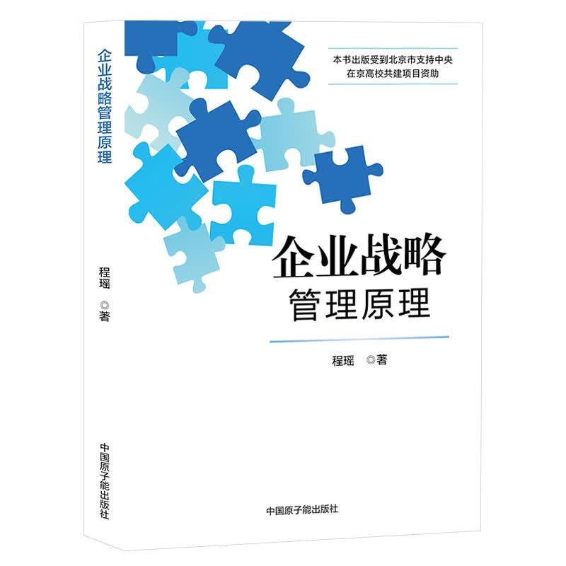 企业战略管理原理/管理/书籍