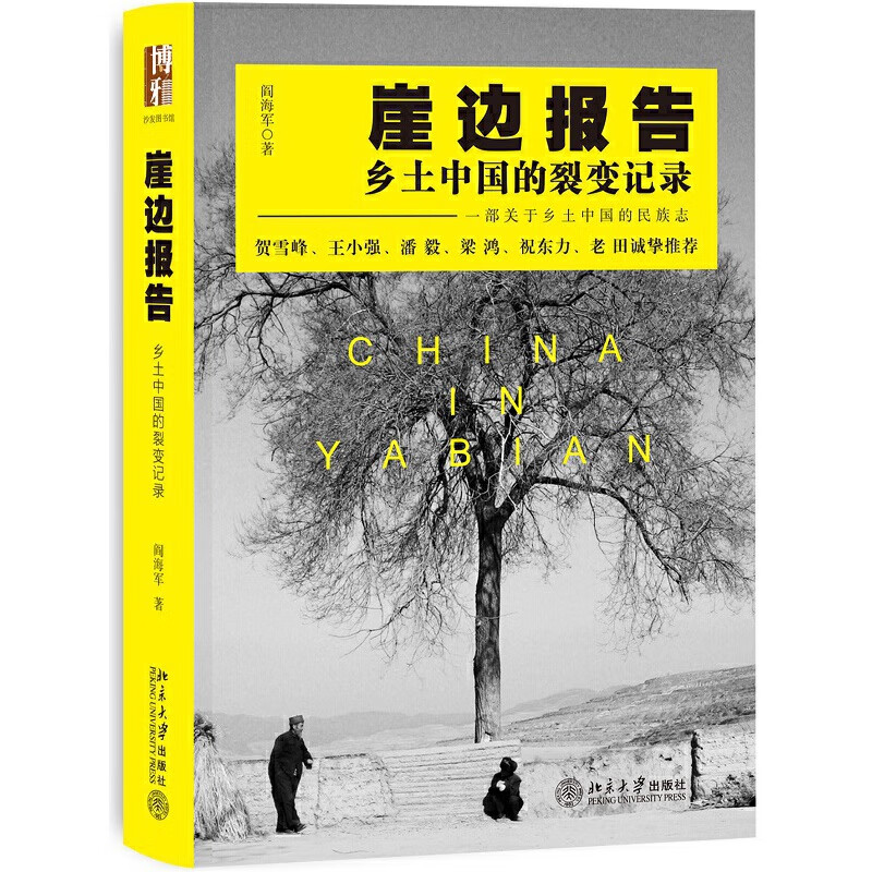 崖边报告：乡土中国的裂变记录（赠送精美非遗民俗作品）