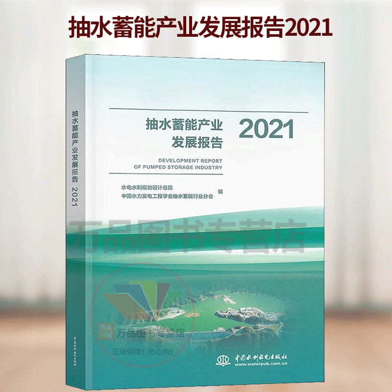 2022年9月新书 抽水蓄能产业发展报告2021 水电水利规划设计总院 中国水力发电工程学会抽水蓄能行业分会 中国水利水电出版社