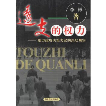 透支的权力:地方政府决策失误的深层观察