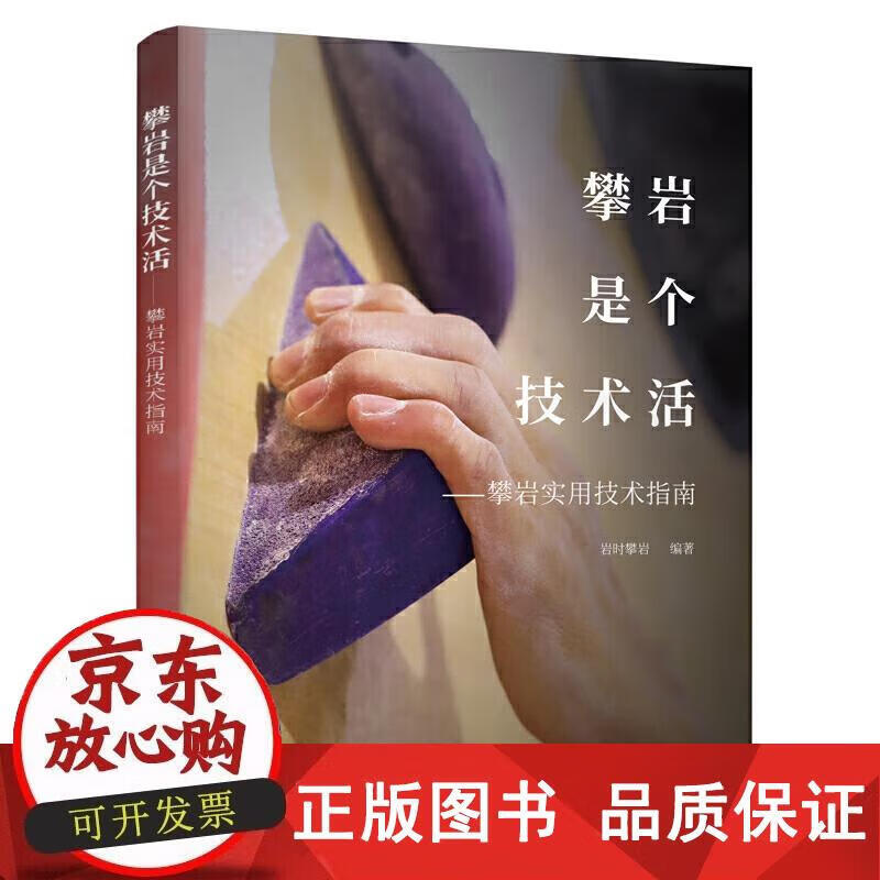攀岩是个技术活——攀岩实用技术指南 岩时攀岩 著 9787121373053
