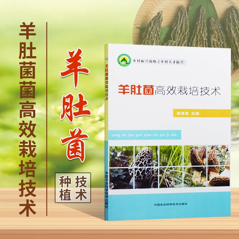 羊肚菌高效栽培技术 羊肚菌种植技术书 羊肚菌书籍 羊肚菌制种与栽培资料书 羊肚菌林地种植技术 羊肚菌种植年前出菇技术种植羊肚菌书