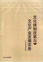 文化体制改革与文化产业发展实务