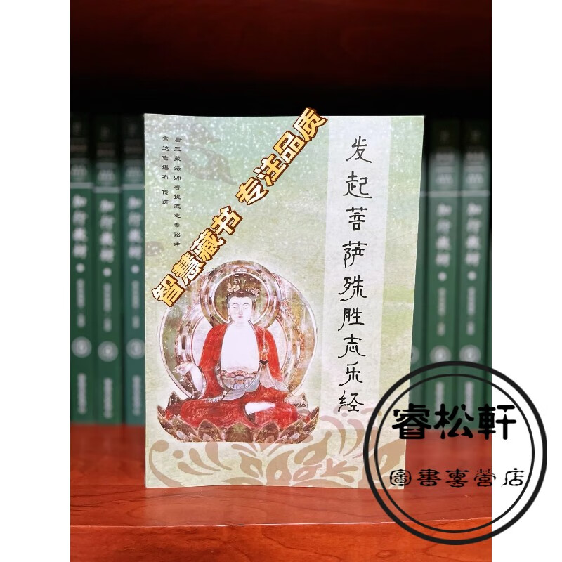 发起菩萨殊胜志乐经 讲记1～13 SS