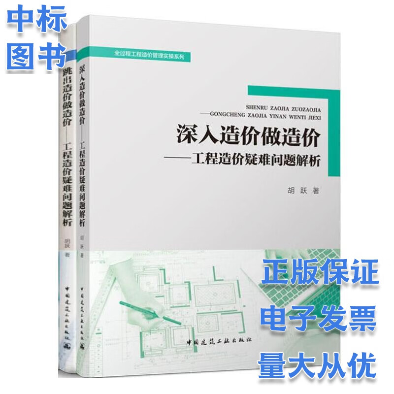 跳出造价做造价+深入造价做造价 工程造价疑难问题解析 2本 中国建筑工业出版社