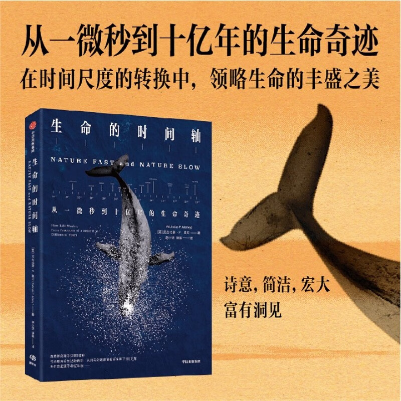 生命的时间轴 从一微秒到十亿年的生命奇迹 尼古拉斯P莫尼 著 在时间尺度的转换中展现生命的丰盛之美 中信出版社图书