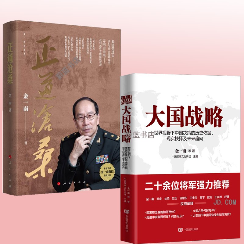 大国战略+正道沧桑 9787010248226 金一南著 怎样才能继续成功 中国历史近代史 党政读物书籍 人民出版社