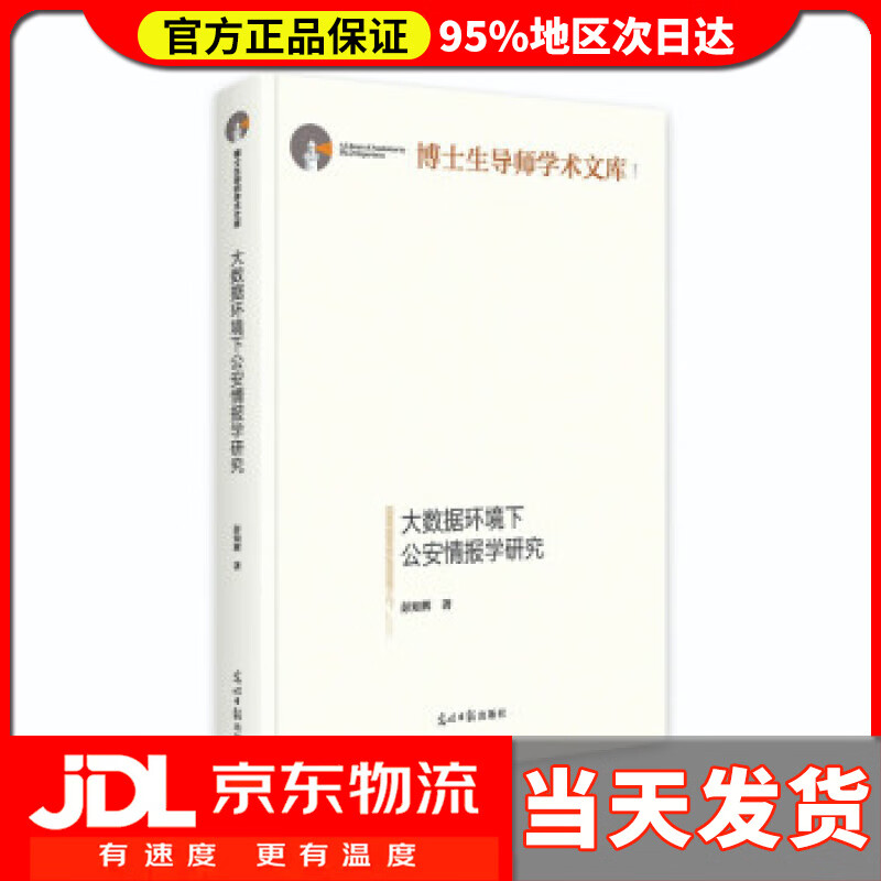 大数据环境下公安情报学研究 彭知辉 著