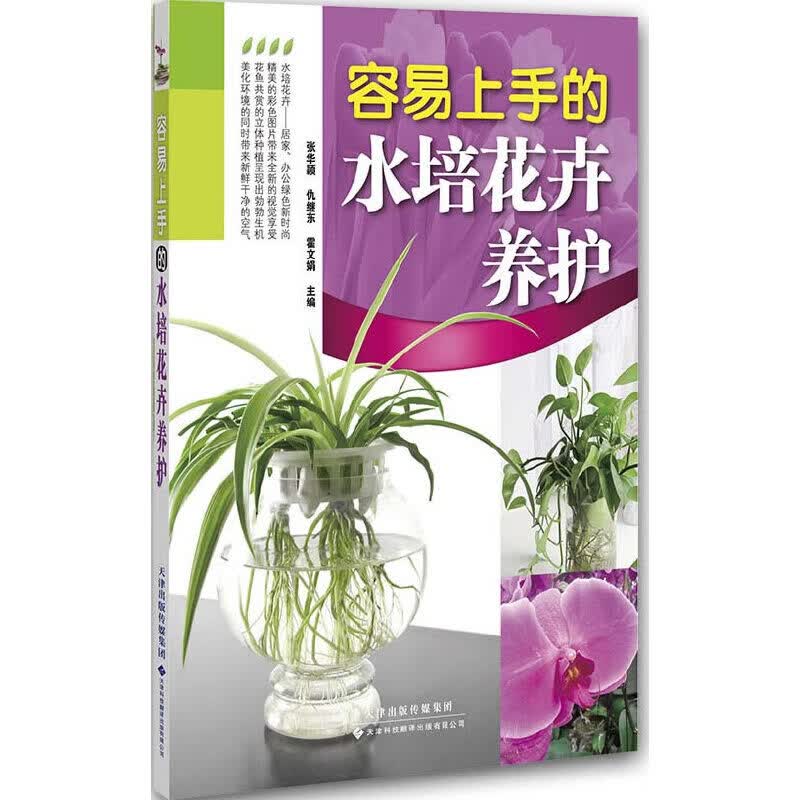 容易上手的水培花卉养护