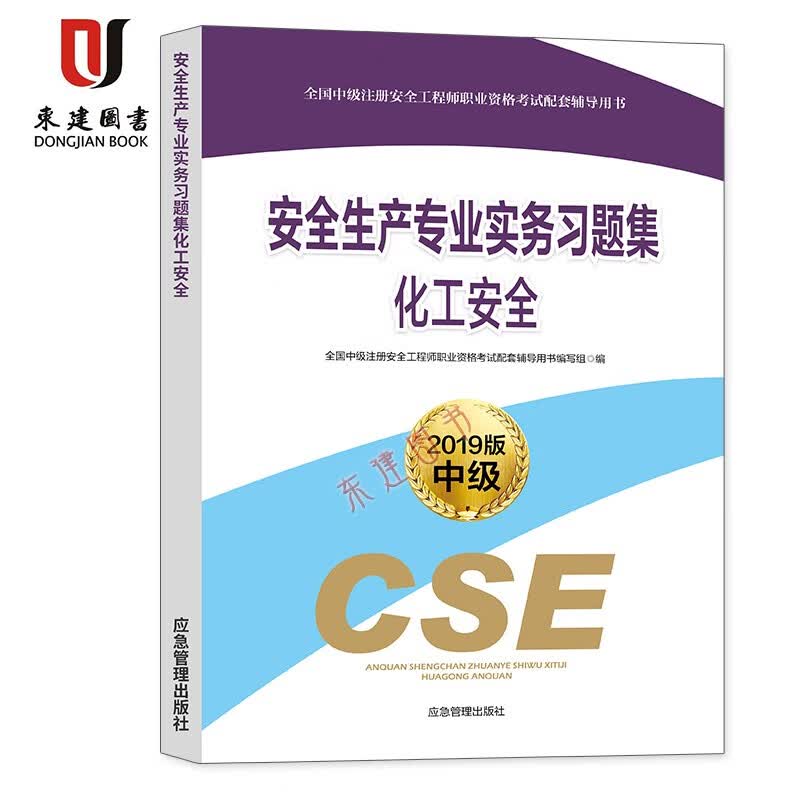 2019版安全生产专业实务习题集化工安全 2019全国中级注册安全工程师职业资格考试配套辅导用书 应