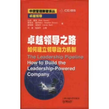 卓越领导之路:如何建立领导动力机制 [美] 查安,[美] 德罗特尔,[美] 诺埃尔 著,刘华初 等