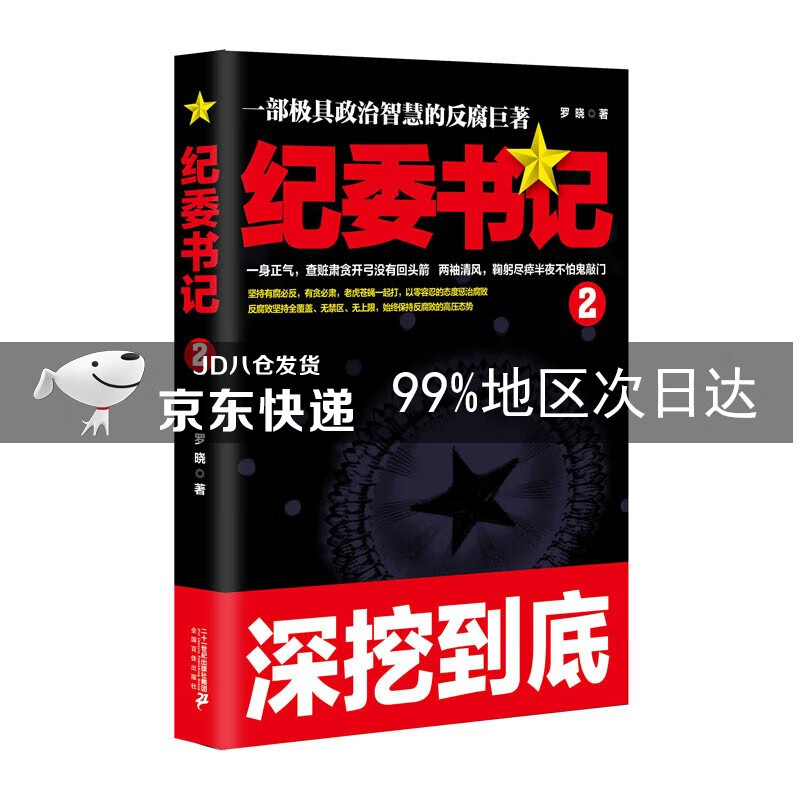 纪委书记2