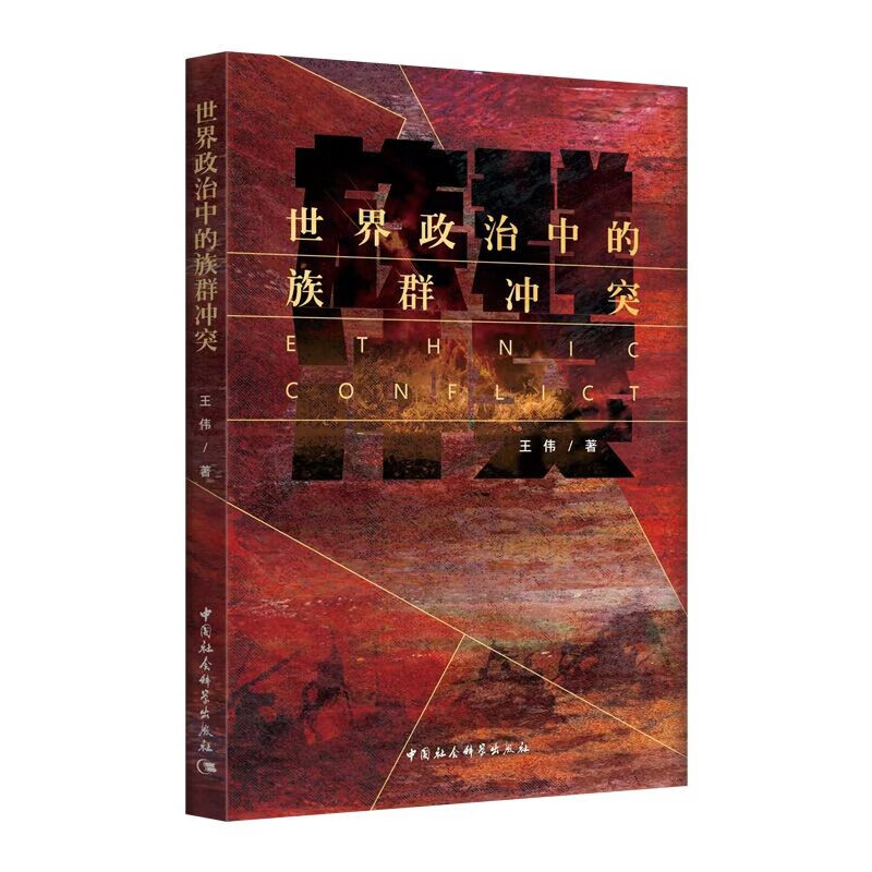 世界政治中的族群冲突
