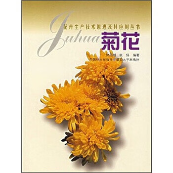 菊花 郭志刚