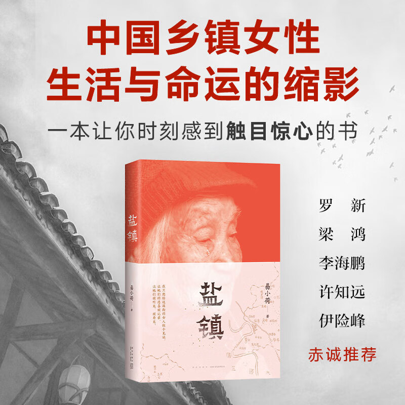 盐镇 易小荷 包邮 罗新梁鸿许知远等赤诚推荐 新华包邮 新星出版社