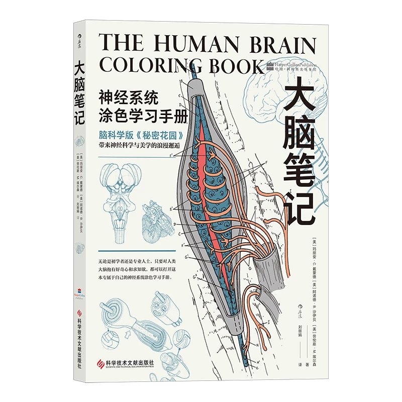 后浪 大脑笔记