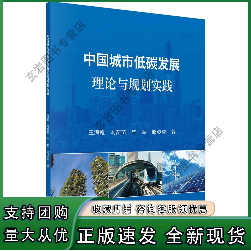n中国城市低碳发展理论与规划实践/海鲲