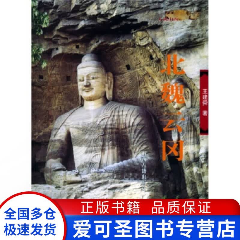北魏云冈 王建舜【好书，下单速发】