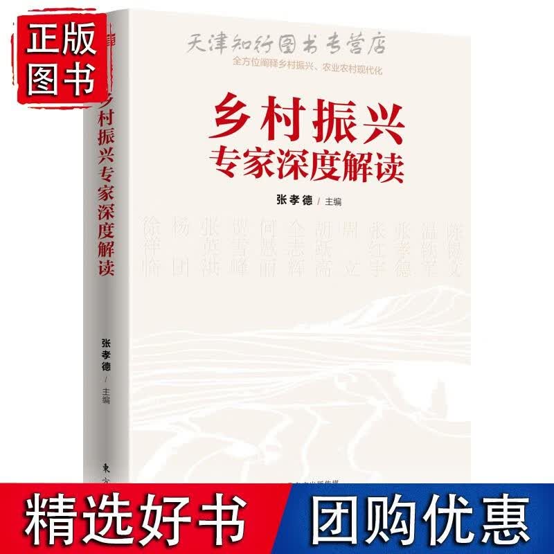 乡村振兴专家深度解读