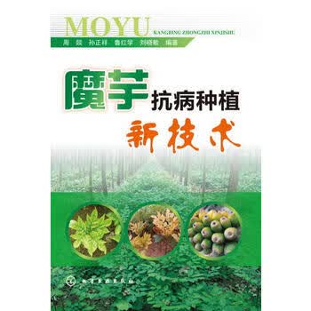 魔芋抗病种植新技术高产魔芋种植技术书鬼芋去肠砂磨芋高效栽培魔芋的种植技术知识大全资料教科书农业种植业