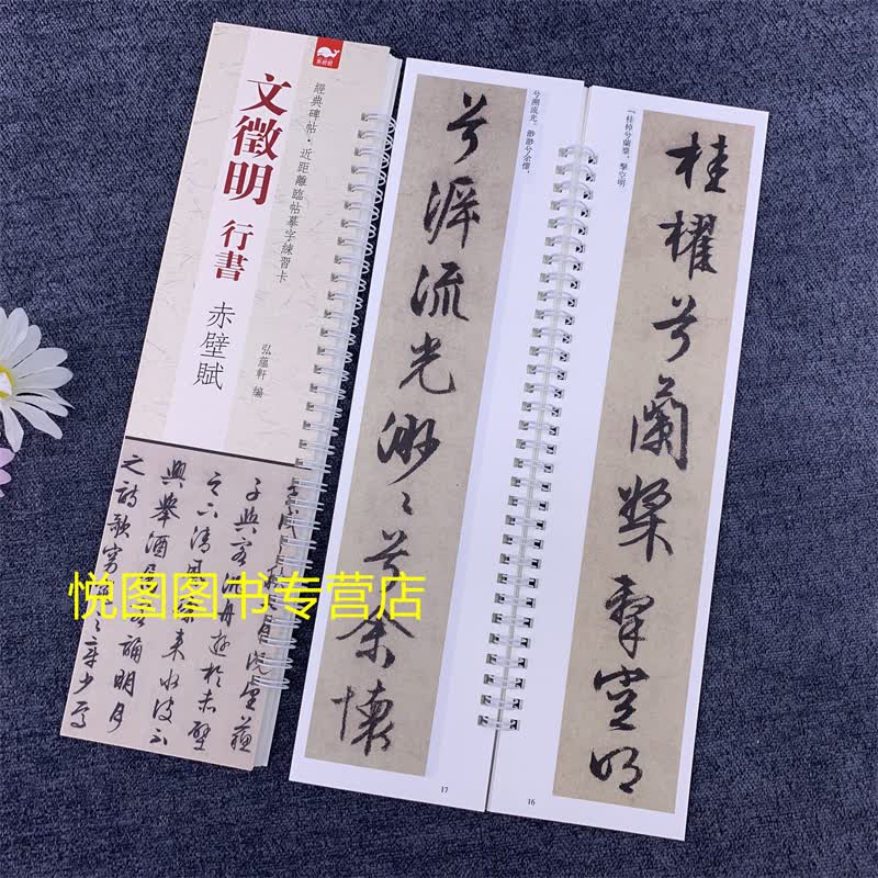 经典碑帖近距离临帖摹字练习卡 弘蕴轩编 学生成人毛笔书法字帖临摹字卡 文征明行书赤壁赋（全文）