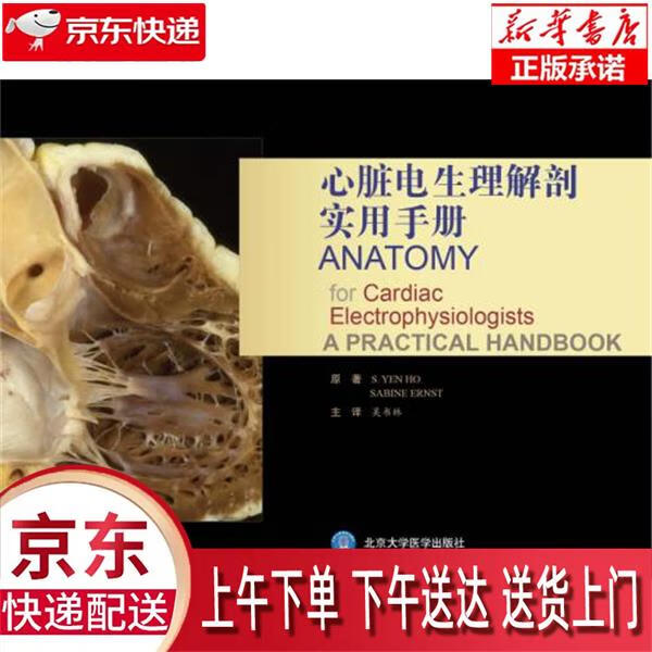 【新华畅销图书】心脏电生理解剖实用手册 S.Yen ho 北京大学医学出版社有限公司