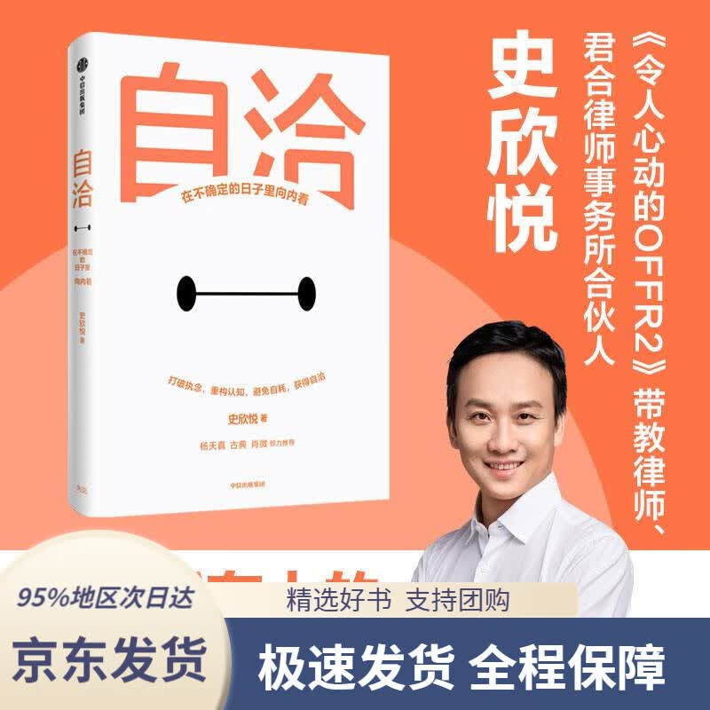 【 京东配送 支持团购】自洽史欣悦著在不确定的日子里向内看令人心动offer带教律师杨天真古典肖微史欣悦