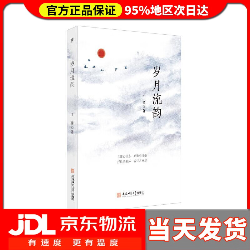烽火孤鹰 丁锋 著