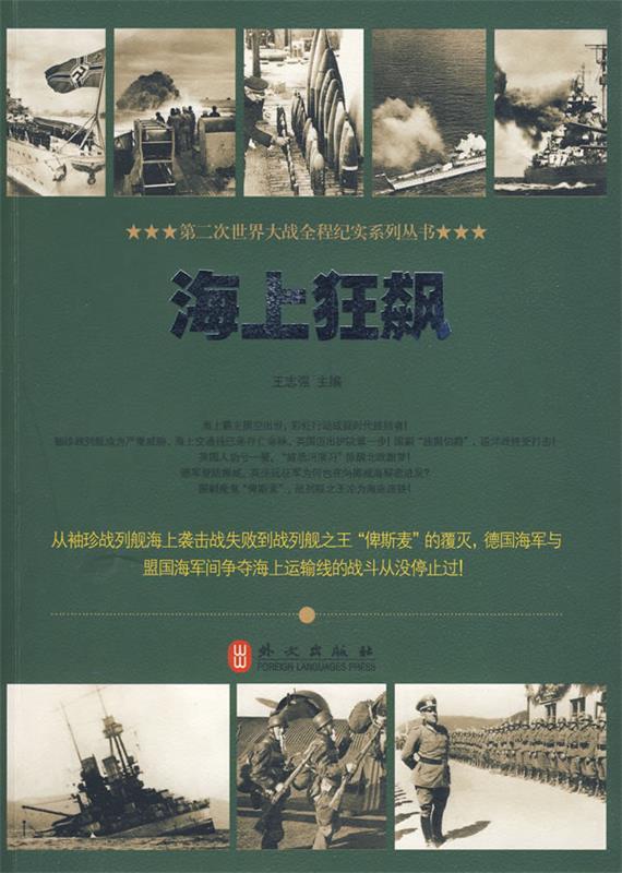 海上狂飙 王志强 编著