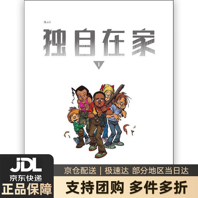 【 送货上门】独自在家1 布鲁诺.加佐蒂 绘 北京联合出版公司